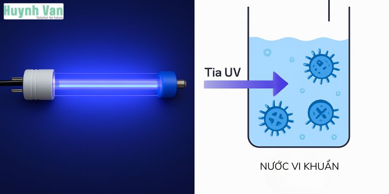 Hiểu đúng về đèn UV ánh sáng tím trong xử lý nước và diệt khuẩn